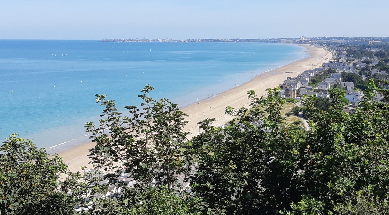 Les Falaises de Carolles | Birdingplaces