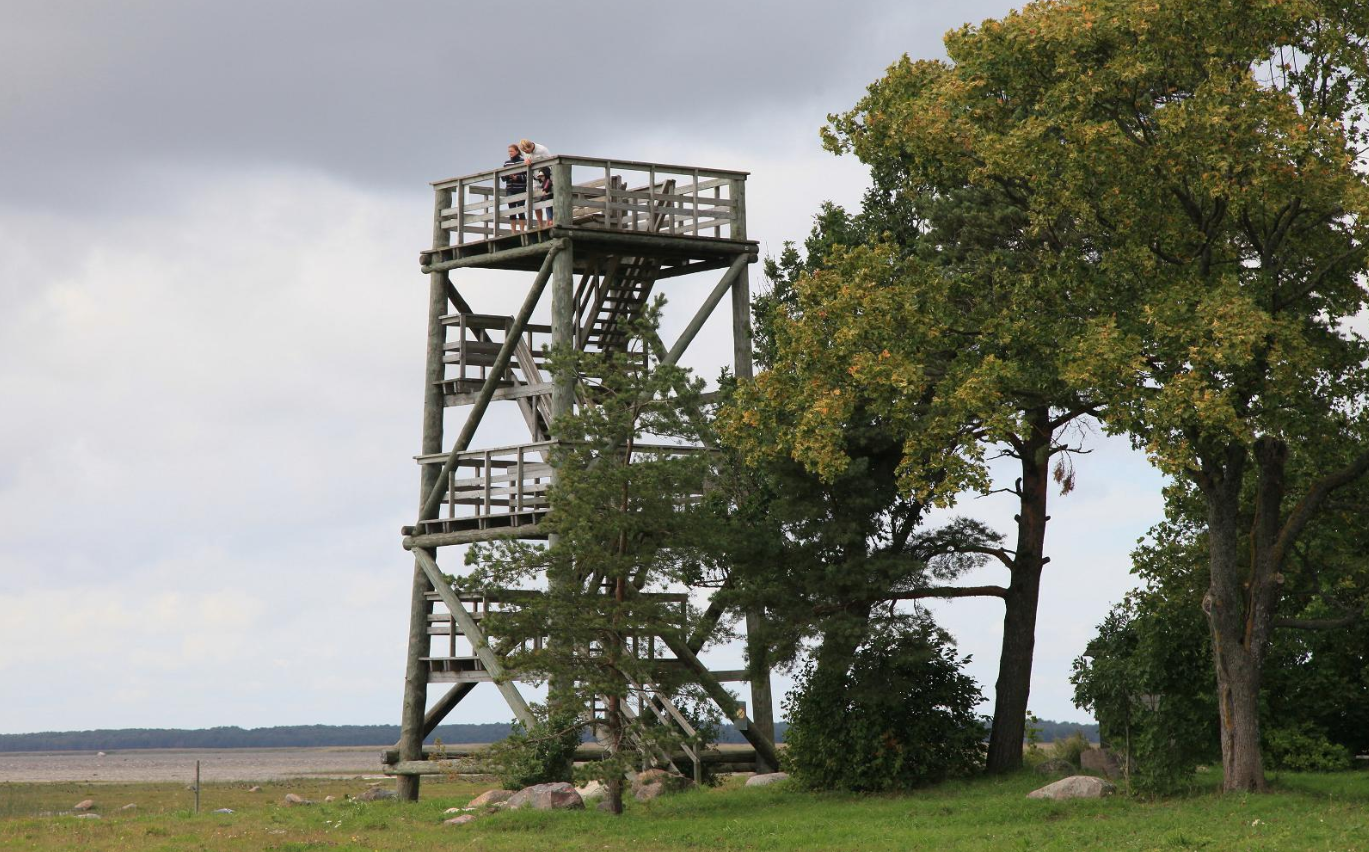 Haeska Birdwatching Tower | Birdingplaces