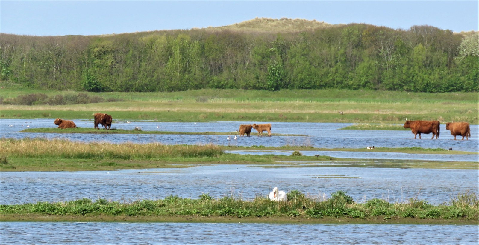Mariëndal | Birdingplaces