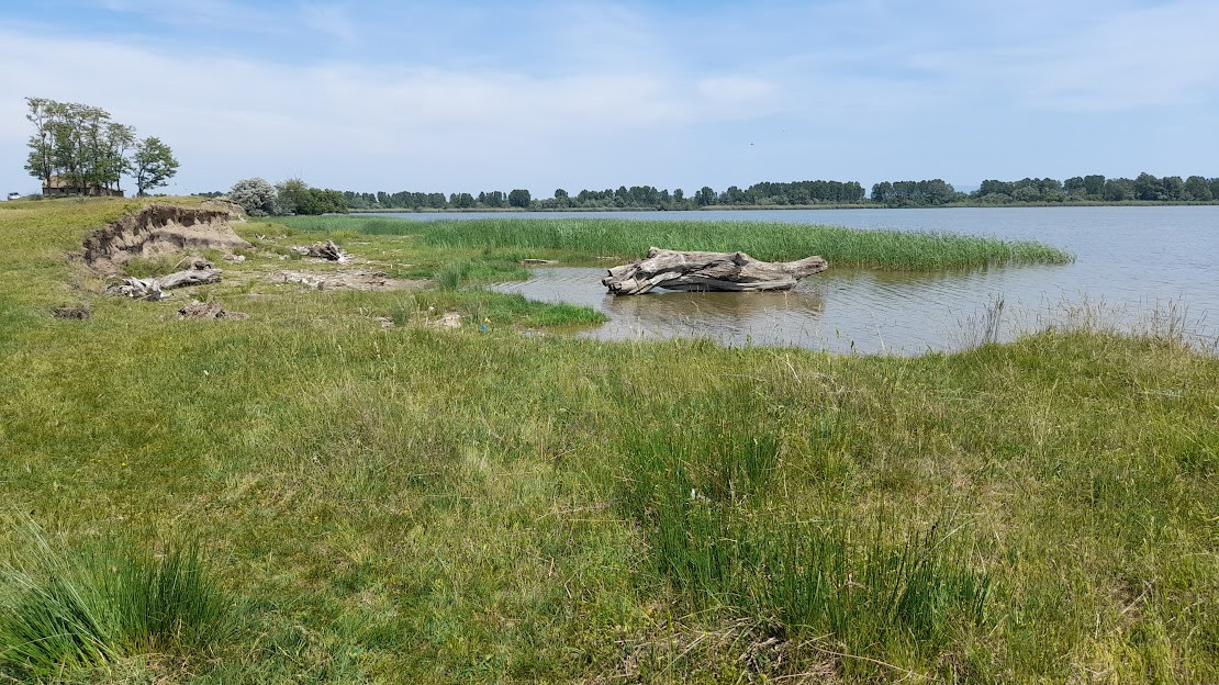 Labudovo Okno Nature Reserve - The Left Bank | Birdingplaces