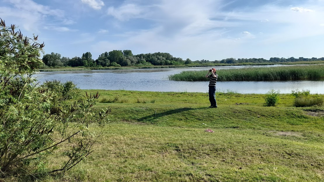 Labudovo Okno Nature Reserve – Dubovački Rit | Birdingplaces