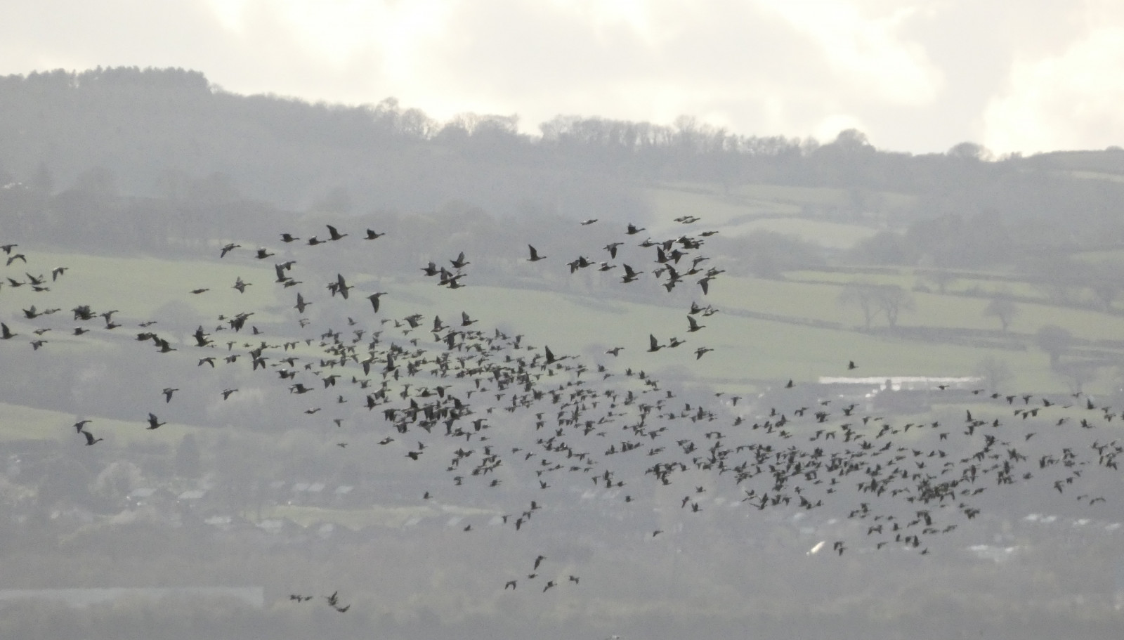 Dee Estuary at Parkgate | Birdingplaces