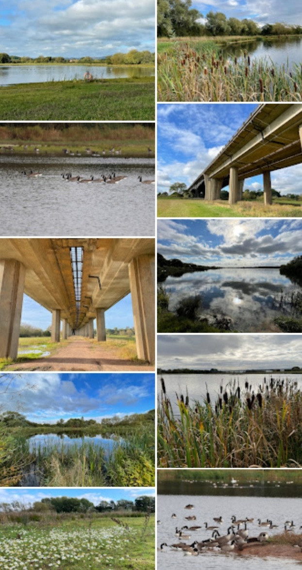 Uckinghall Quarry Nature Reserve | Birdingplaces