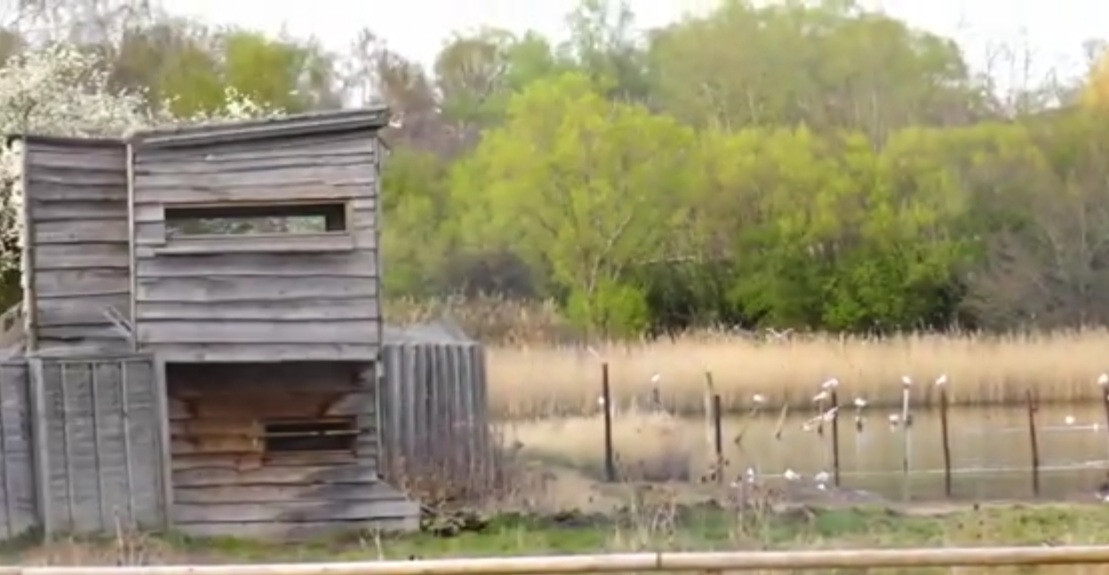 Upton Warren | Birdingplaces