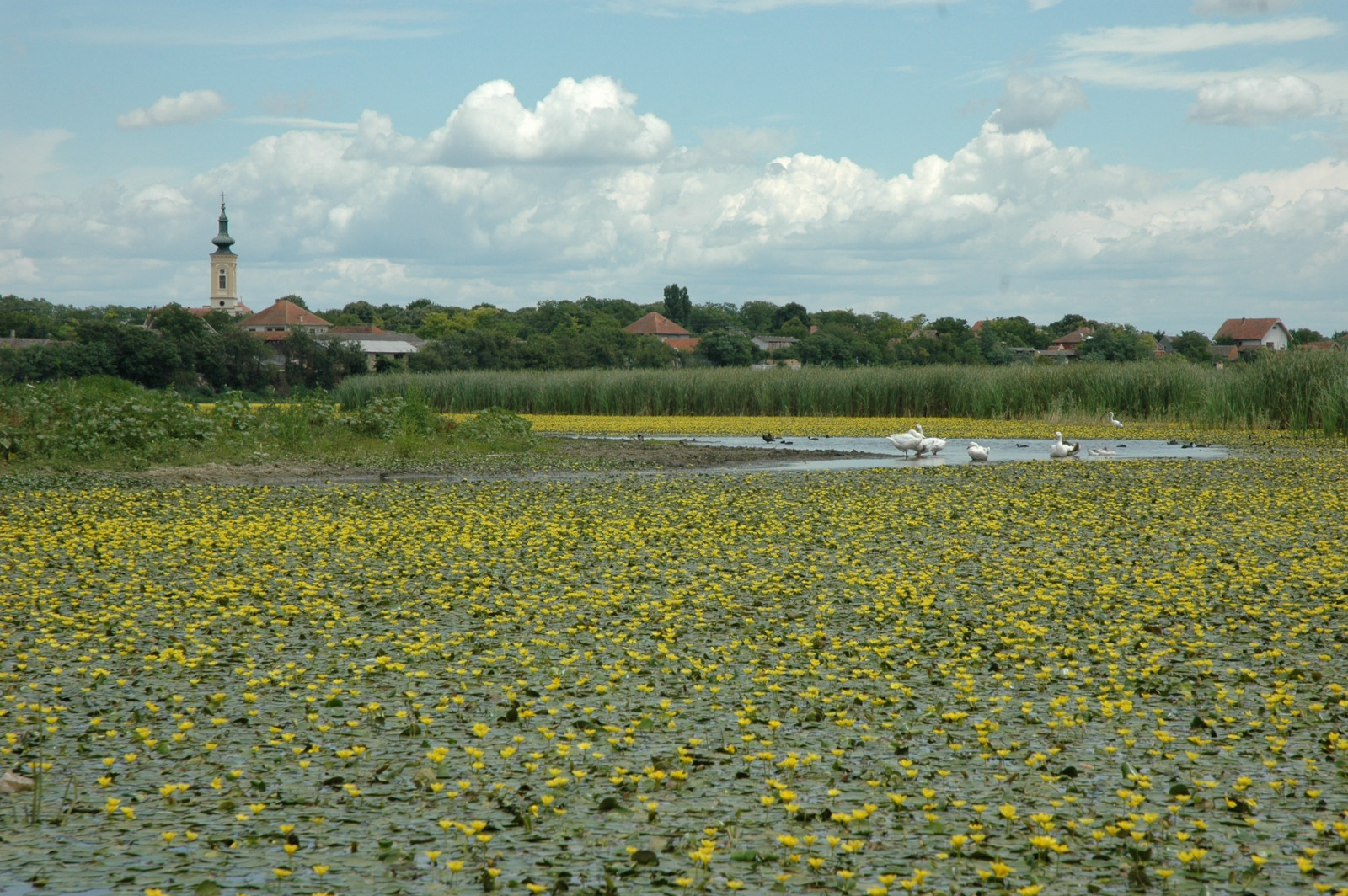 Sakule Fish Farm | Birdingplaces.eu