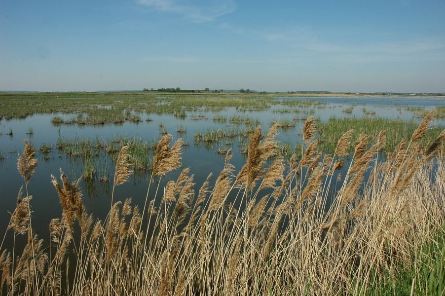 Baranda Fish Farm | Birdingplaces.eu