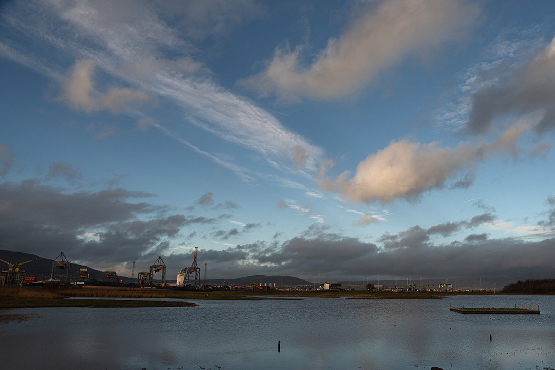 Belfast Window on Wildlife | Birdingplaces
