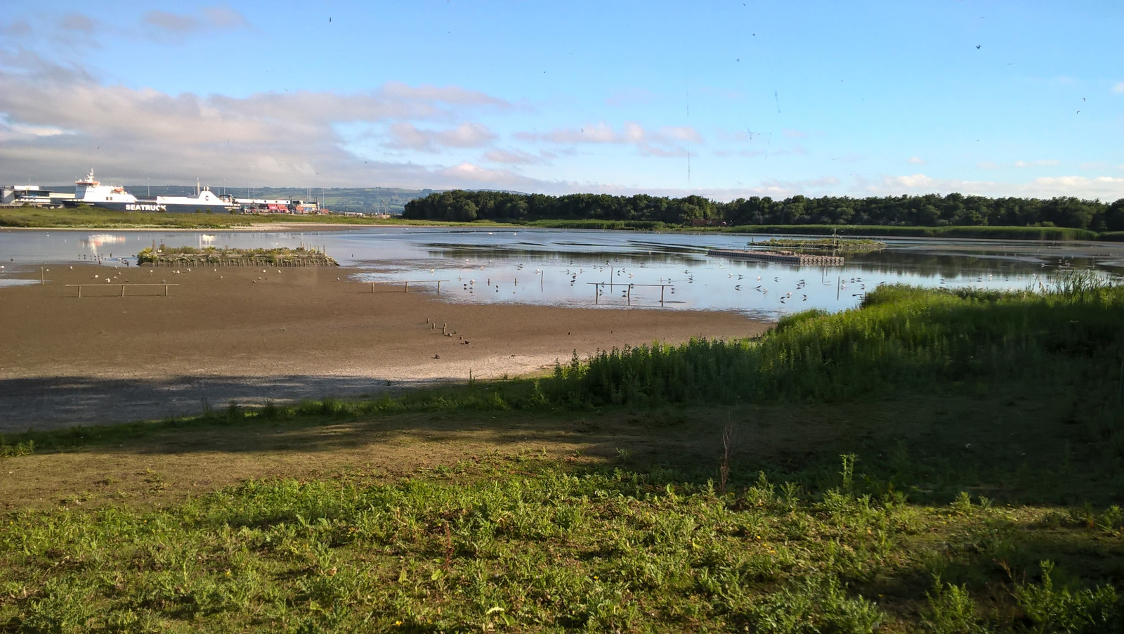 Belfast Window on Wildlife | Birdingplaces