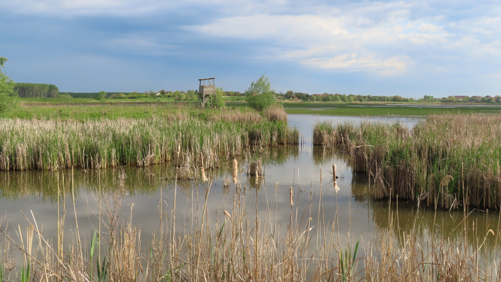 Sakule Fish Farm | Birdingplaces.eu