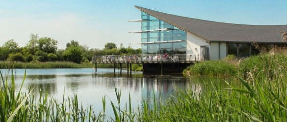 Stanwick Lakes | Birdingplaces