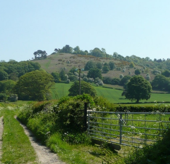 Croft Castle and Bircher Common | Birdingplaces
