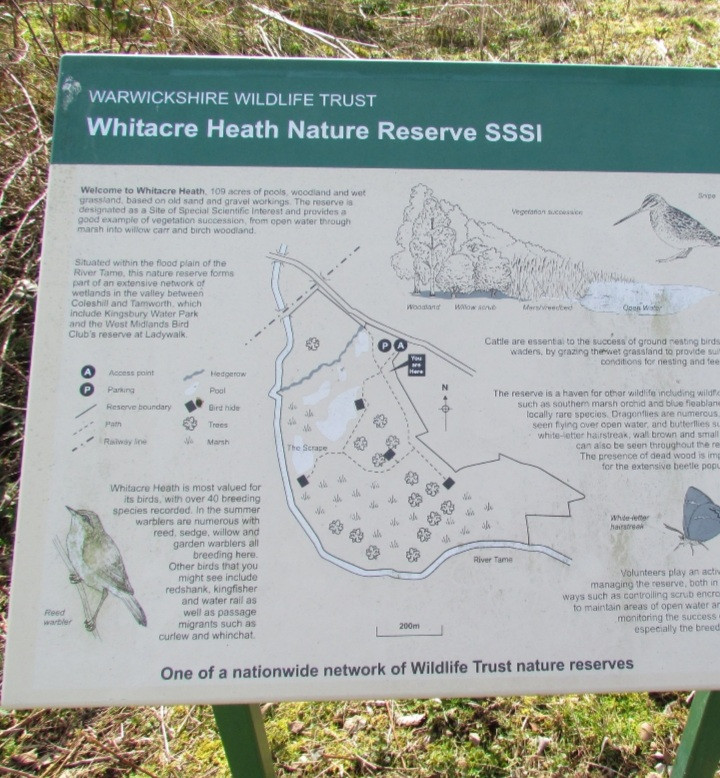 Whitacre Heath | Birdingplaces