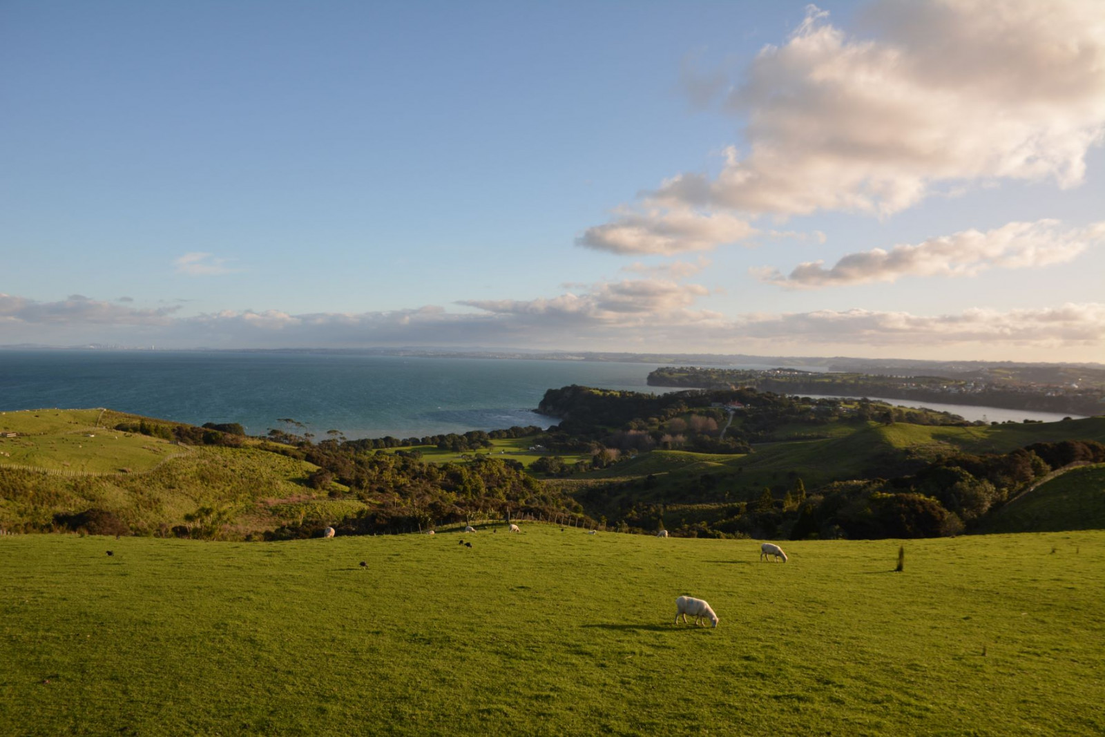 Shakespear Regional Park | Birdingplaces