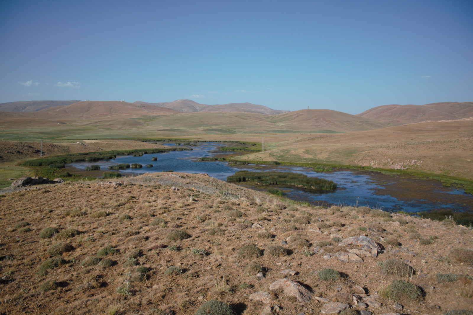 Lake Çilli | Birdingplaces