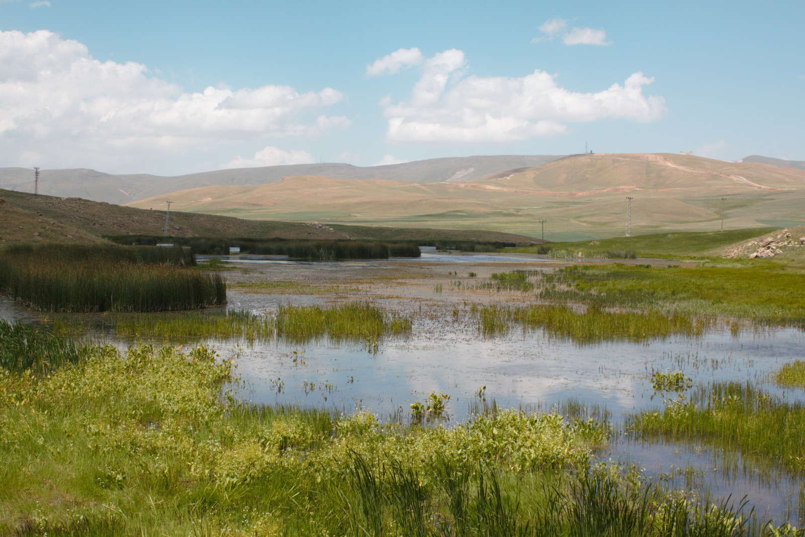 Lake Çilli | Birdingplaces