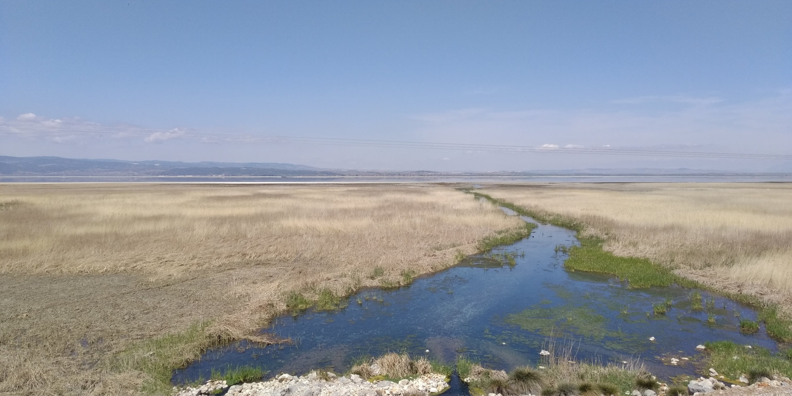 Lake Acıgöl | Birdingplaces