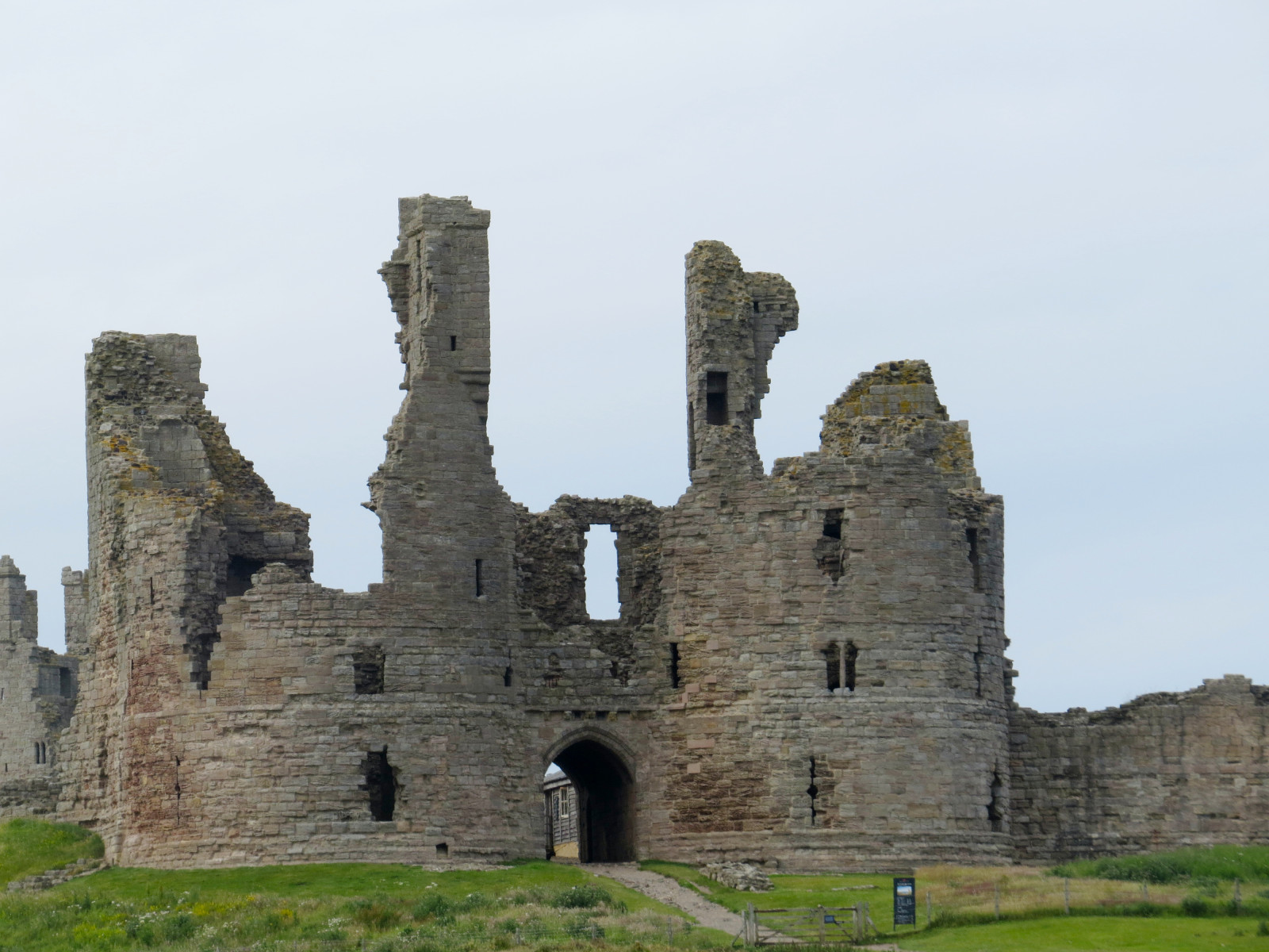 Craster & Dunstanburgh Castle | Birdingplaces