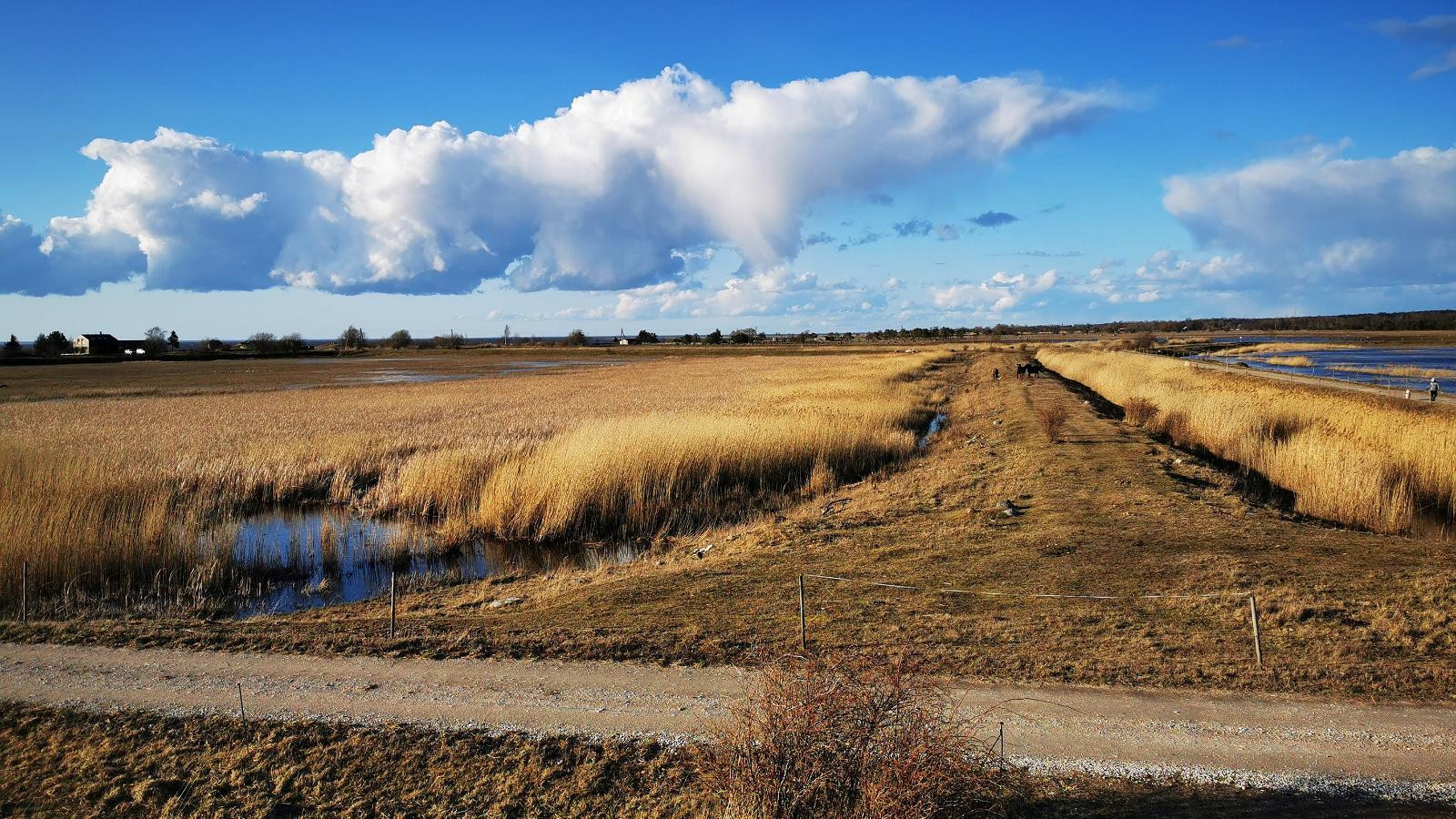 Pikla Ponds | Birdingplaces