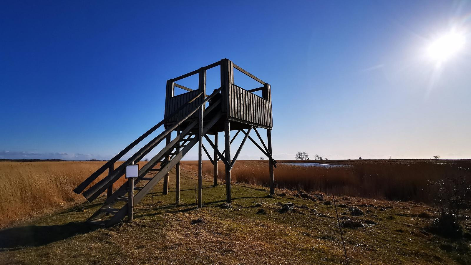 Pikla Ponds | Birdingplaces
