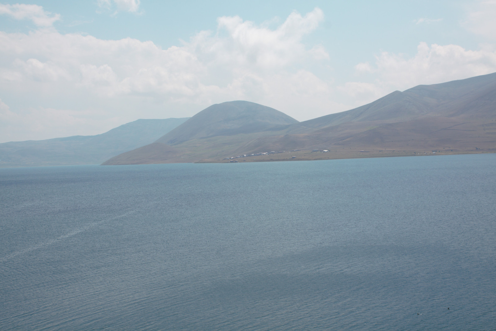 Lake Balık | Birdingplaces