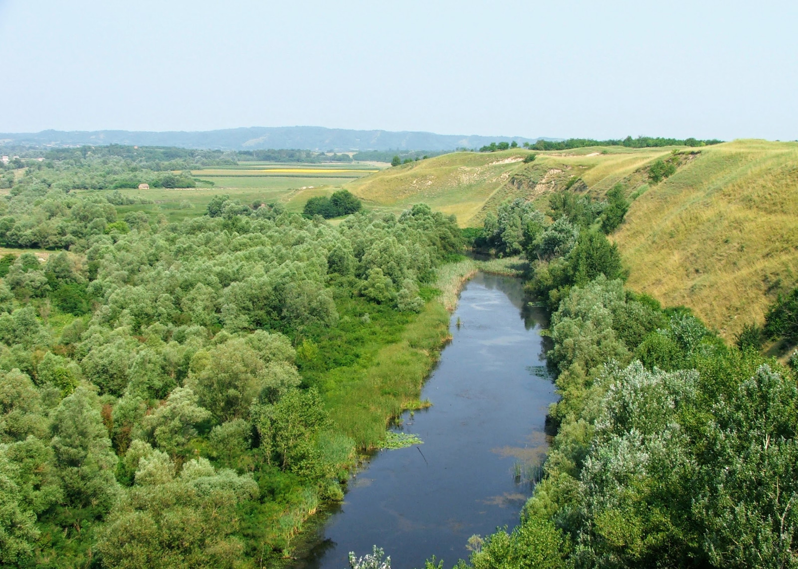 Mali Pesak Pastures Reserve | Birdingplaces