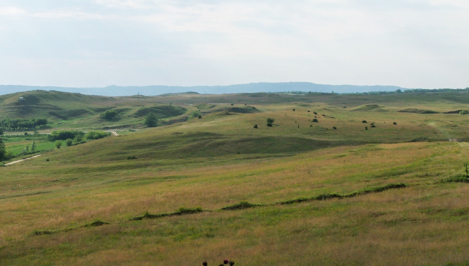 Mali Pesak Pastures Reserve | Birdingplaces