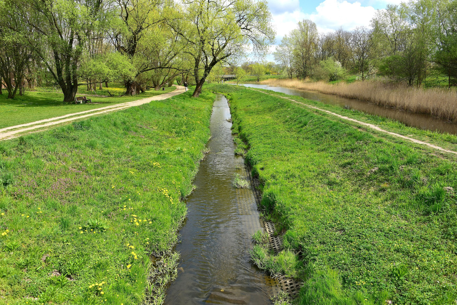 Dolinka Służewiecka Park | Birdingplaces