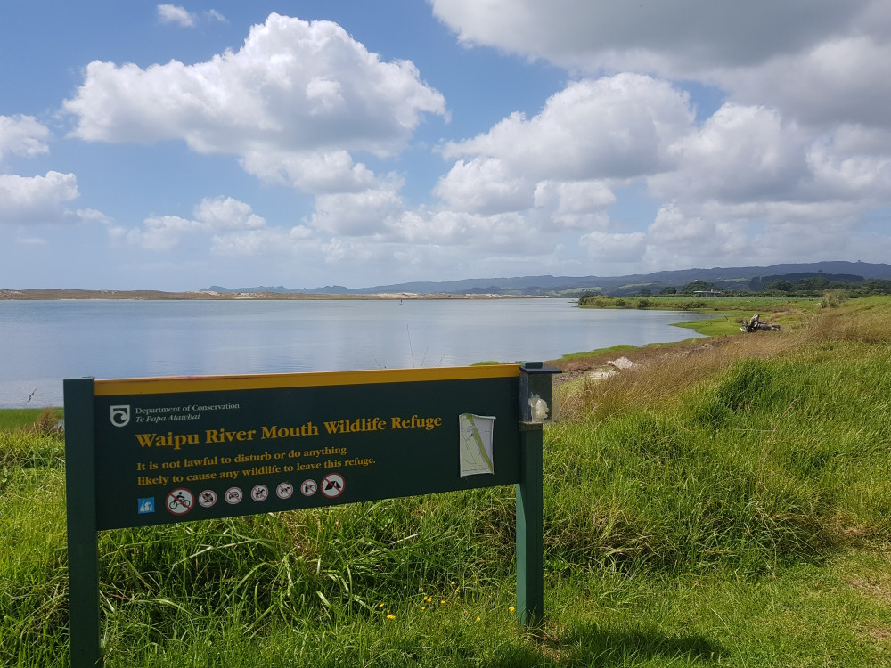 Waipu River Mouth Wildlife Refuge | Birdingplaces