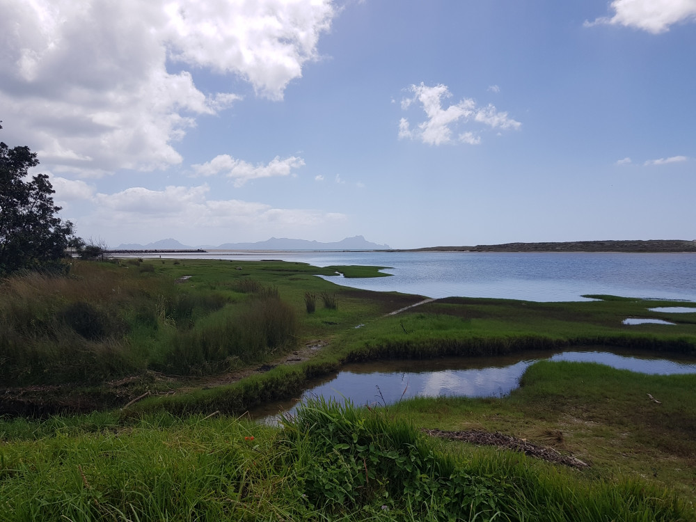 Waipu River Mouth Wildlife Refuge | Birdingplaces