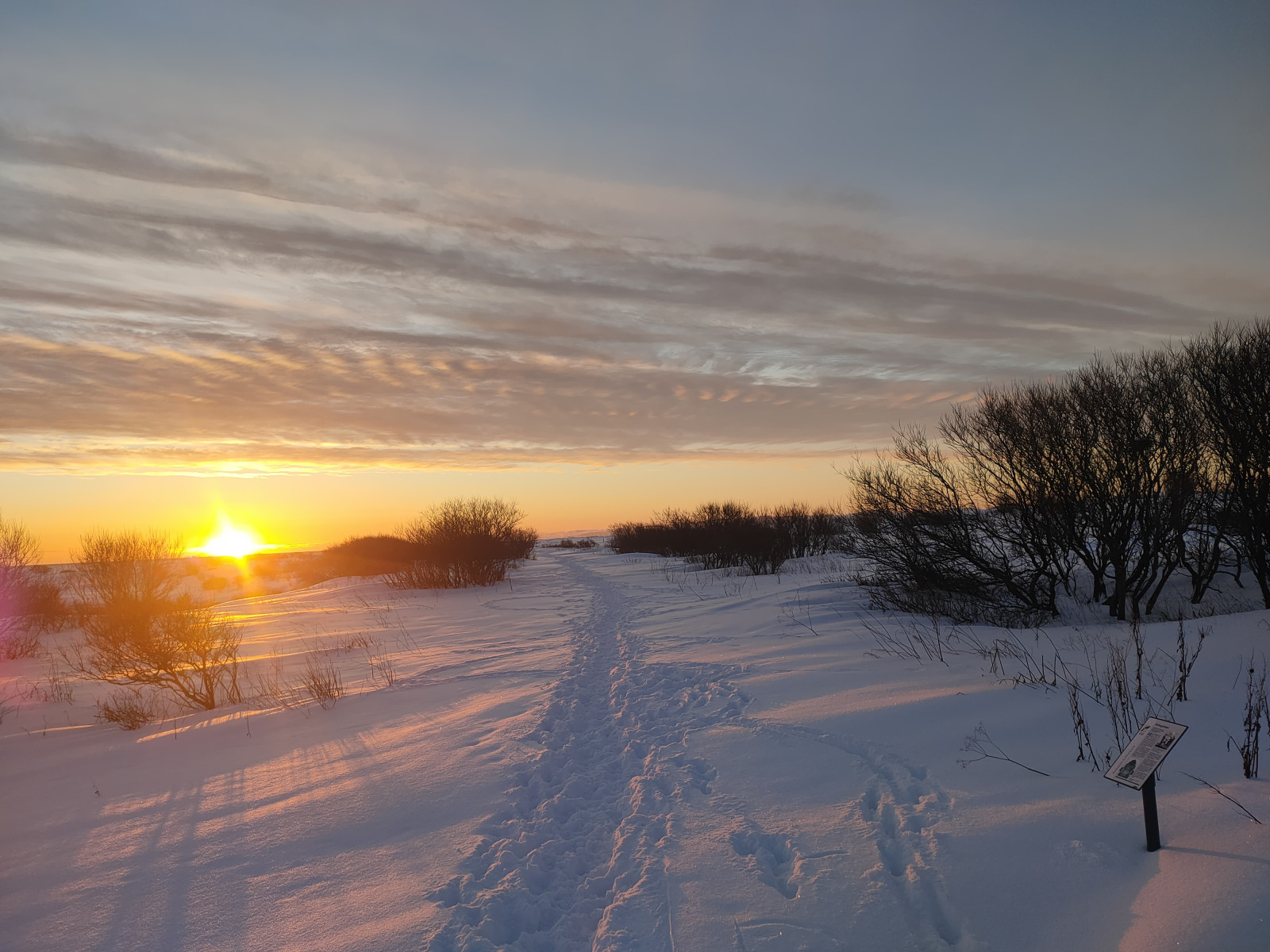 Vadsö | Birdingplaces