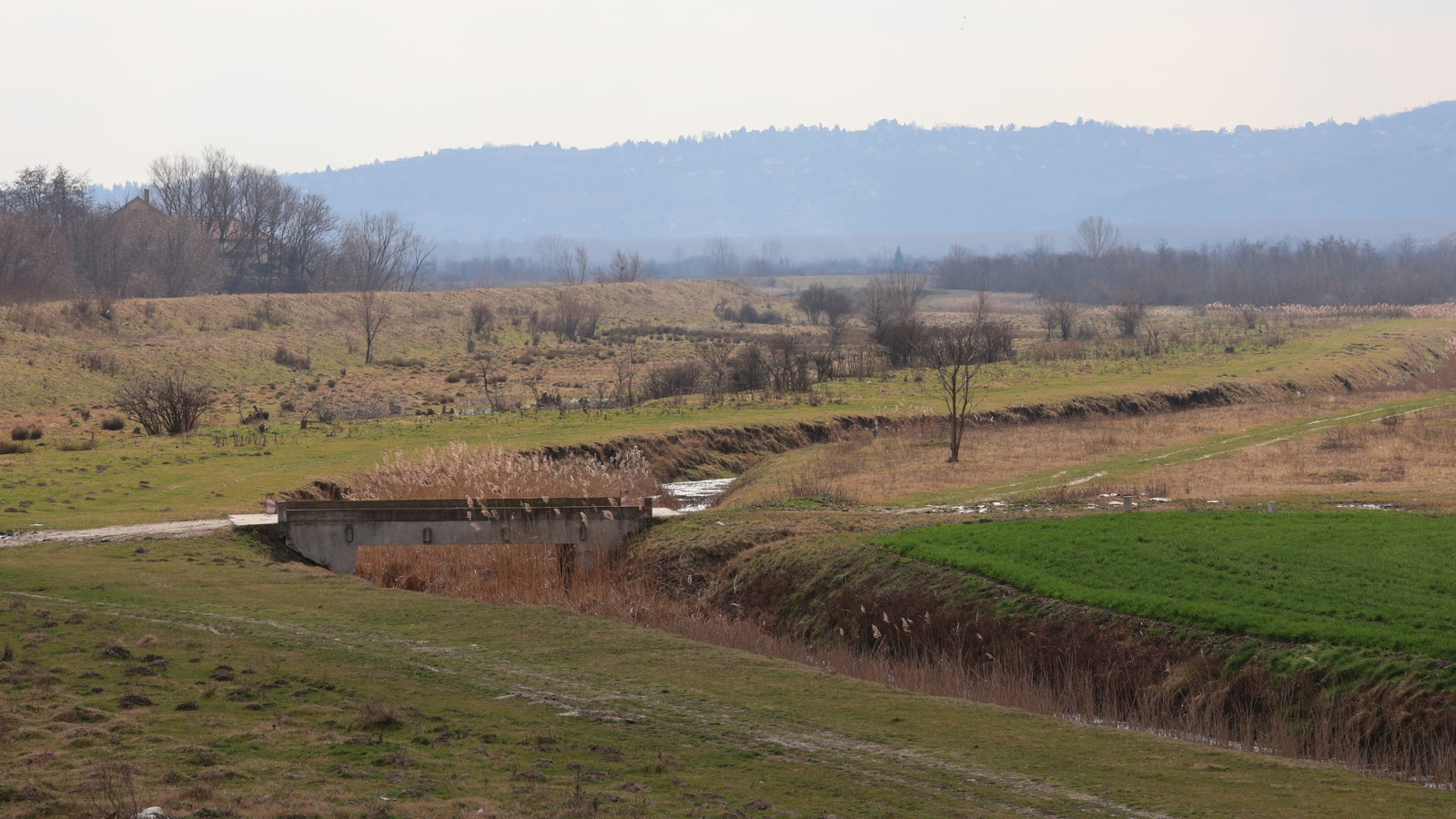 Nadel Channel near Omoljica | Birdingplaces.eu
