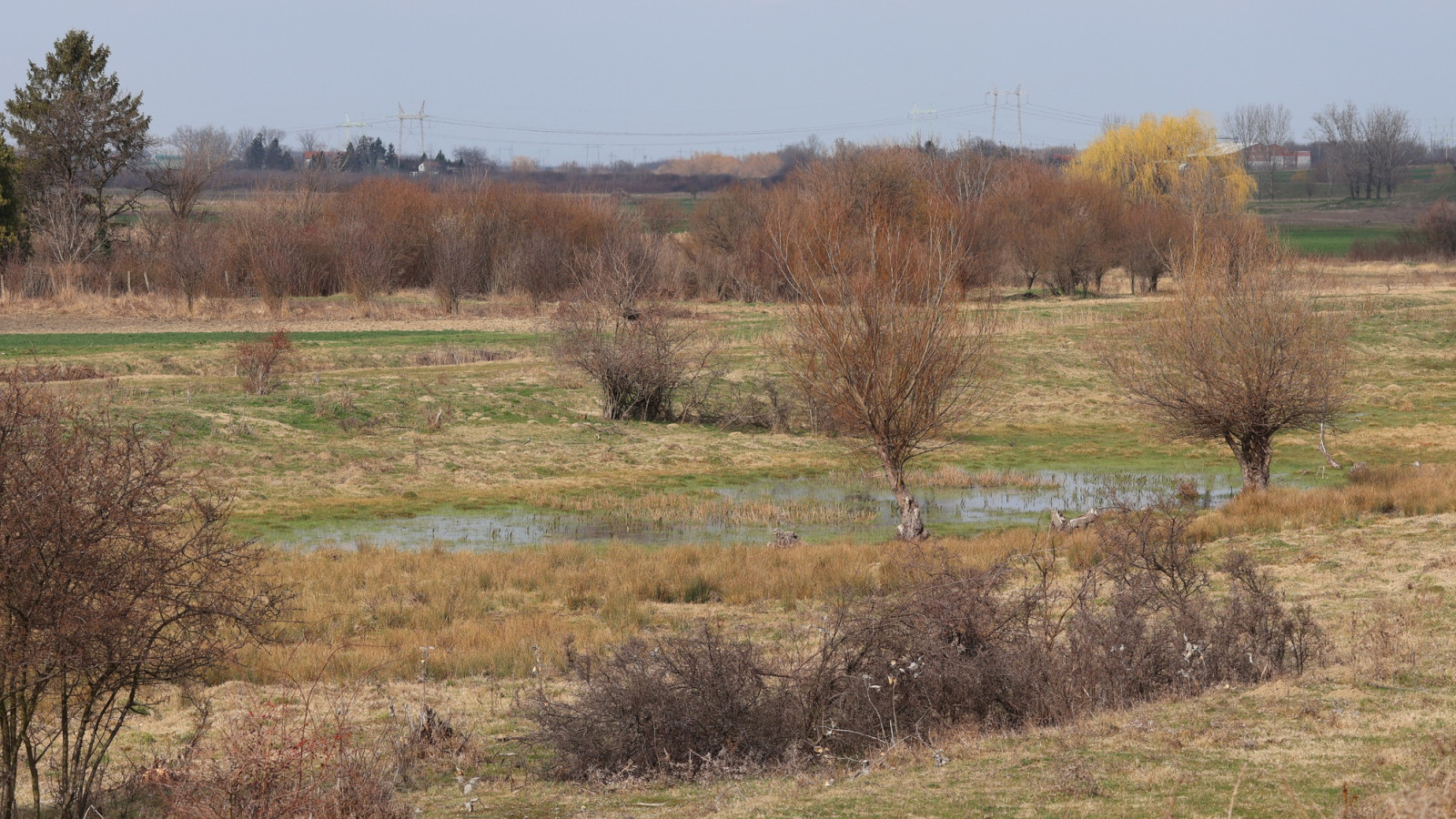 Nadel Channel near Omoljica | Birdingplaces.eu