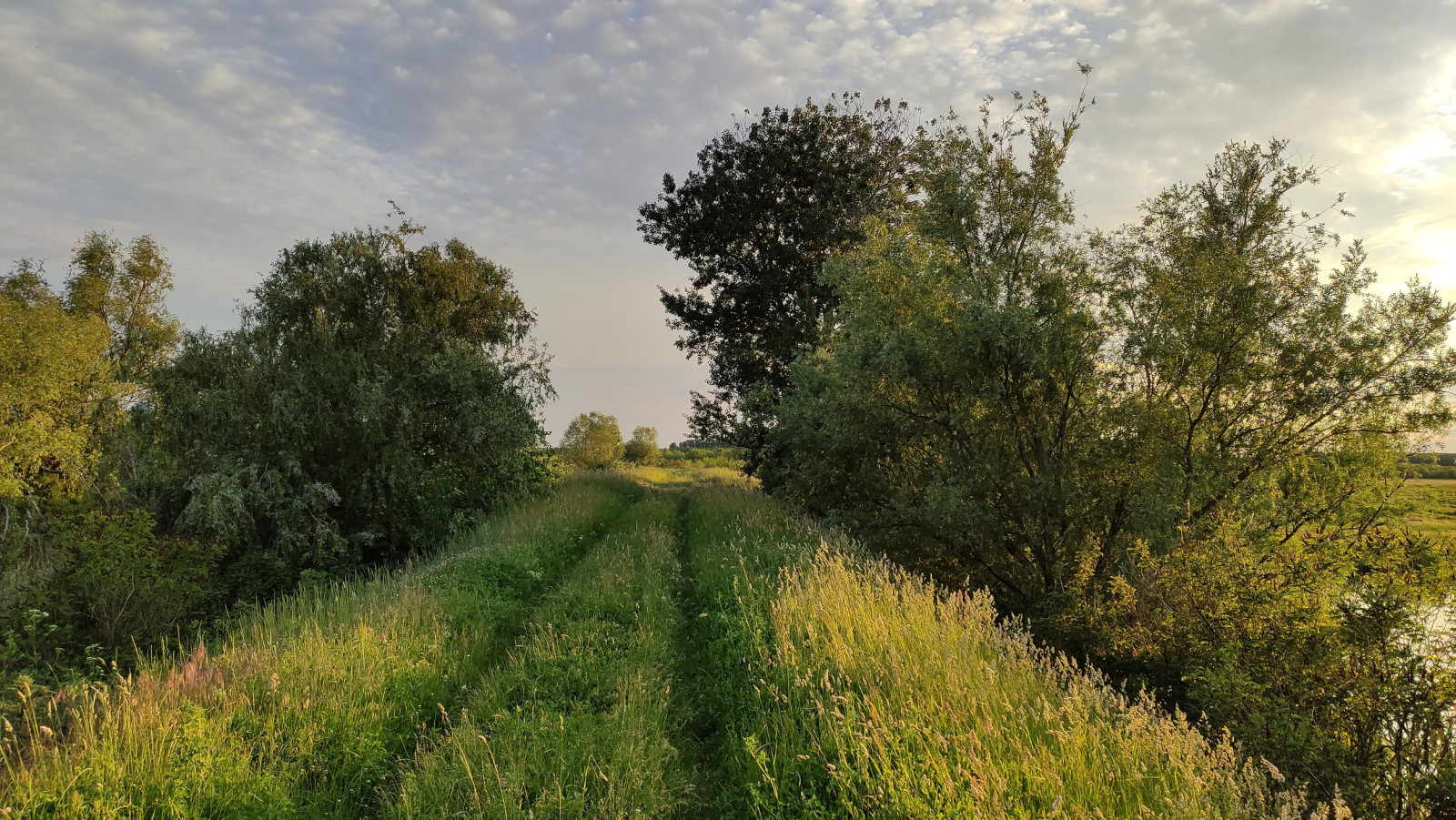 Baranda Fish Farm | Birdingplaces