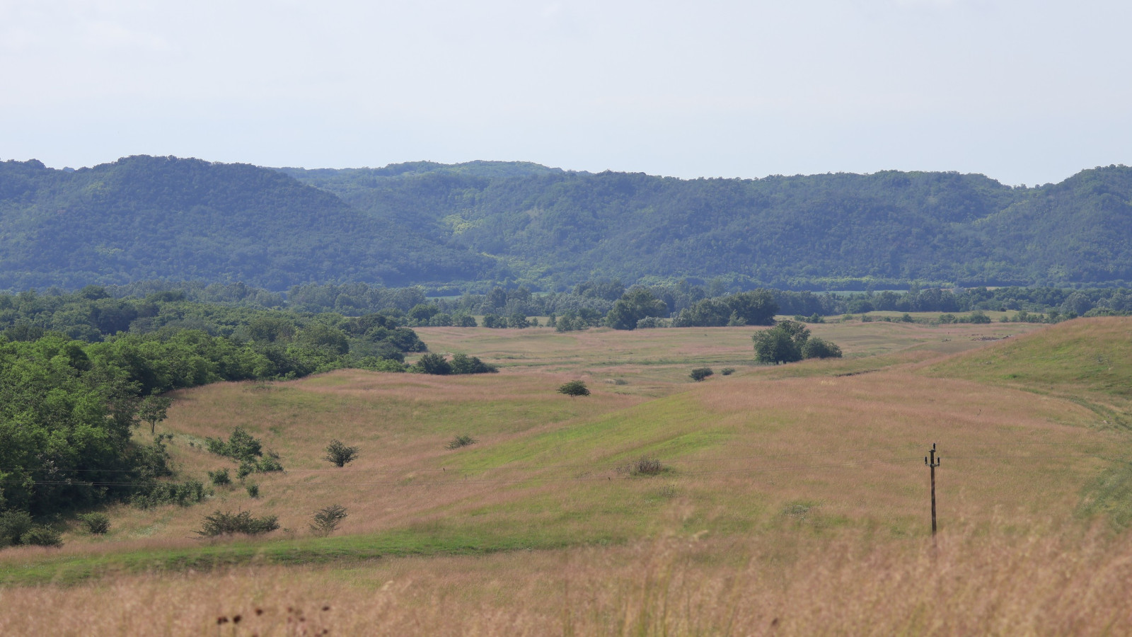 Mali Pesak Pastures Reserve | Birdingplaces