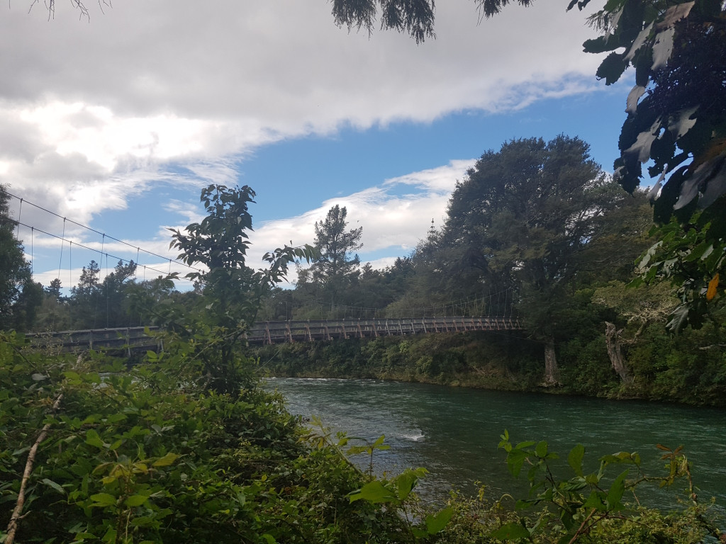 Tūrangi Tongariro River Trail | Birdingplaces
