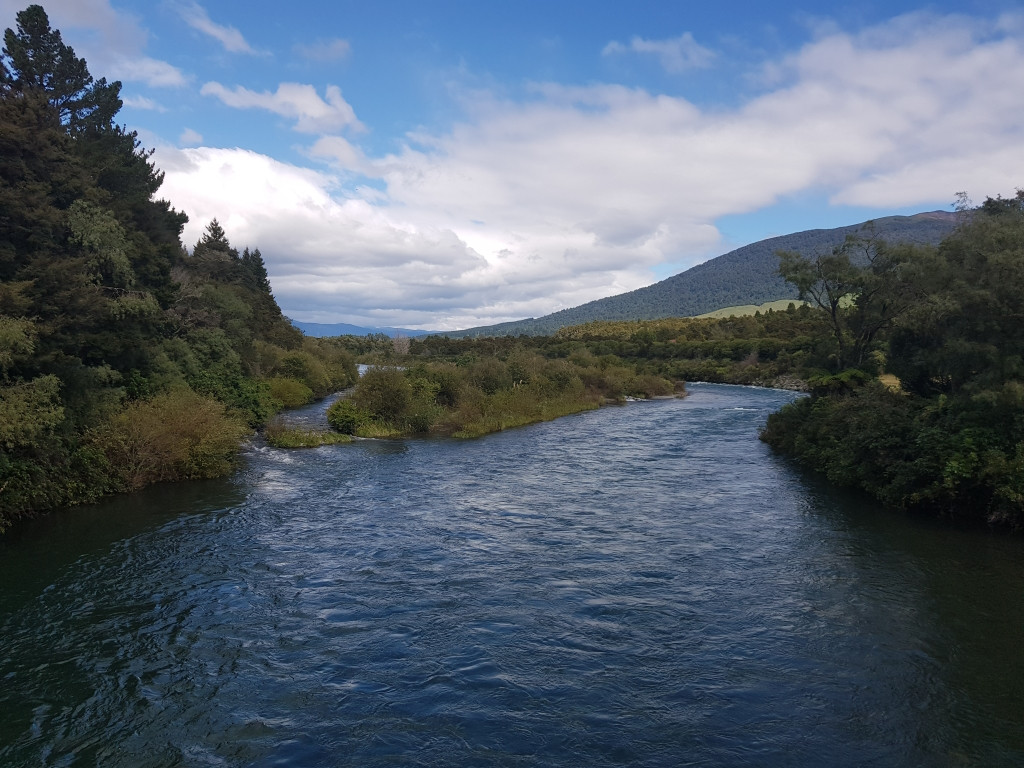 Tūrangi Tongariro River Trail | Birdingplaces