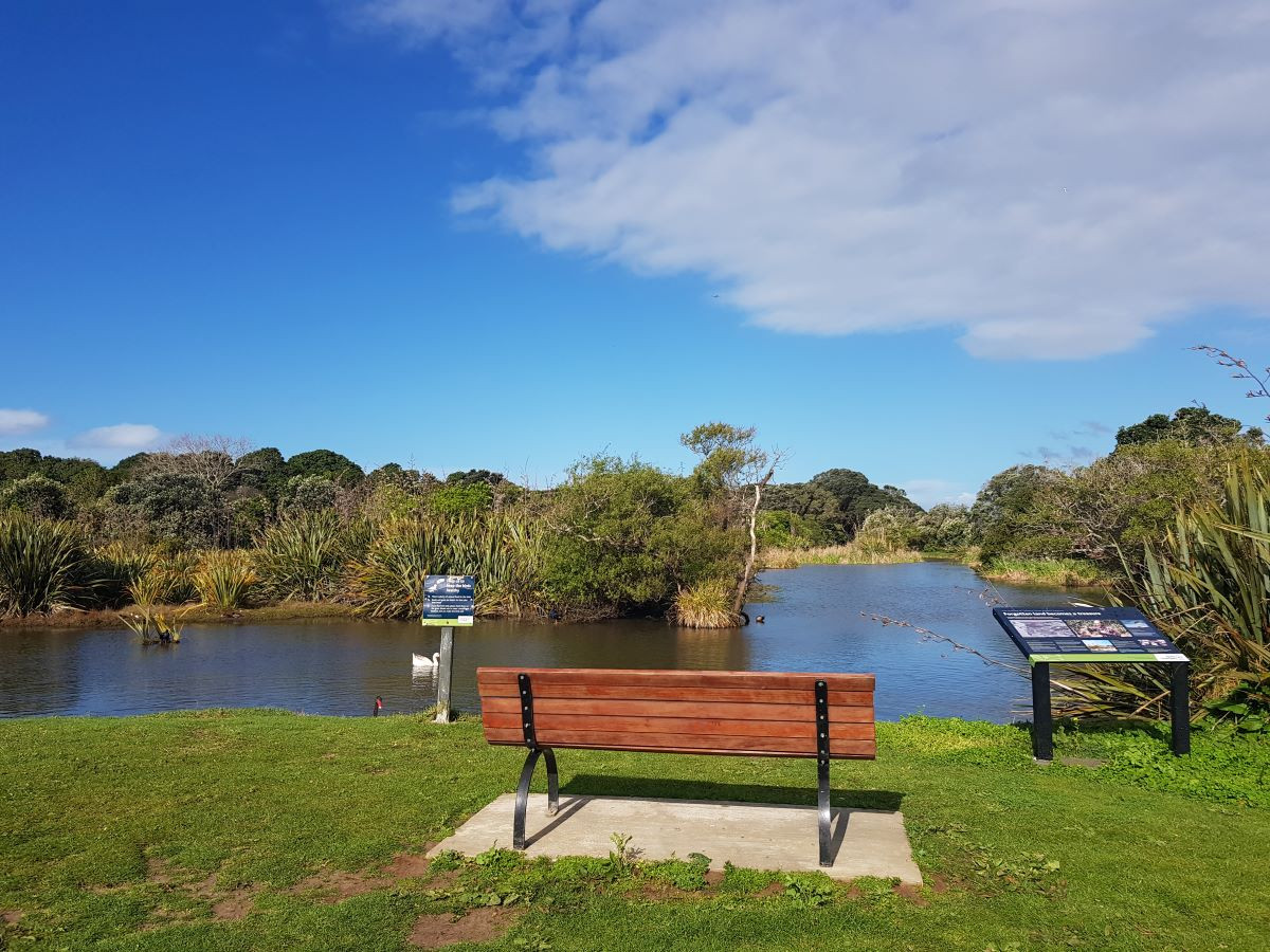 Tahuna Torea Nature Reserve | Birdingplaces