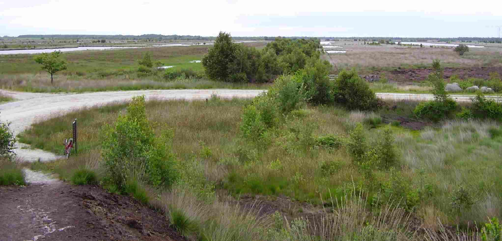 Bargerveen | Birdingplaces