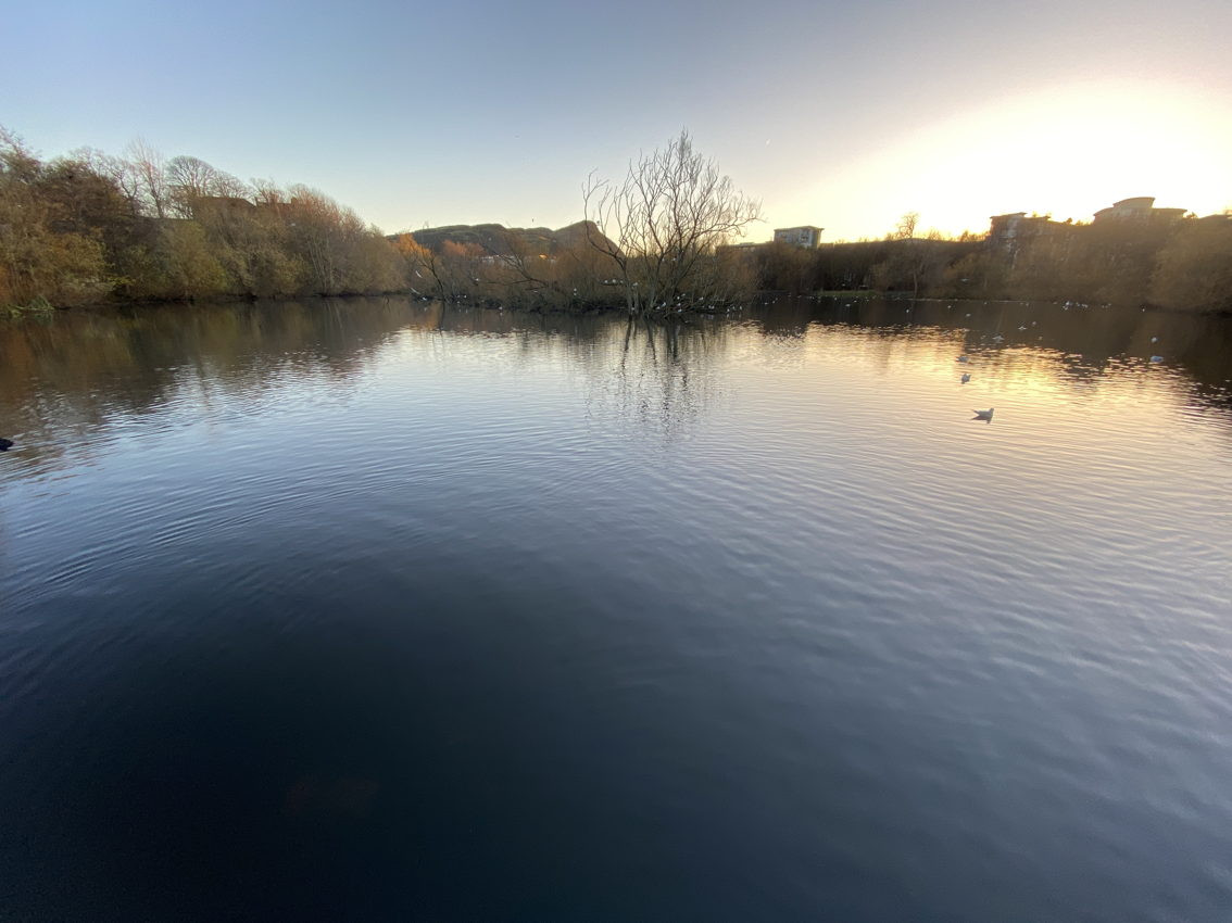 Lochend Park | Birdingplaces