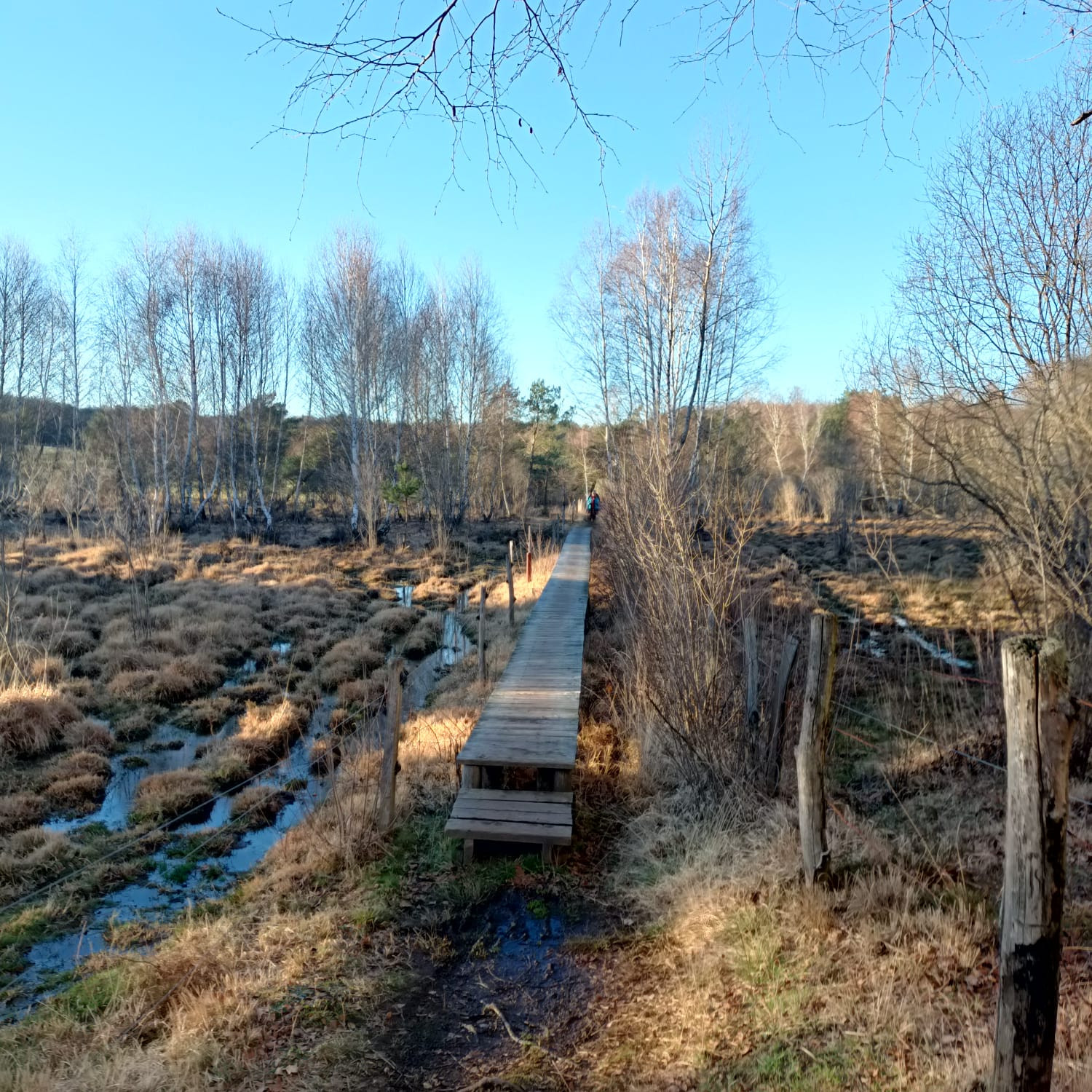 Marais du Cassan et de Prentegarde | Birdingplaces