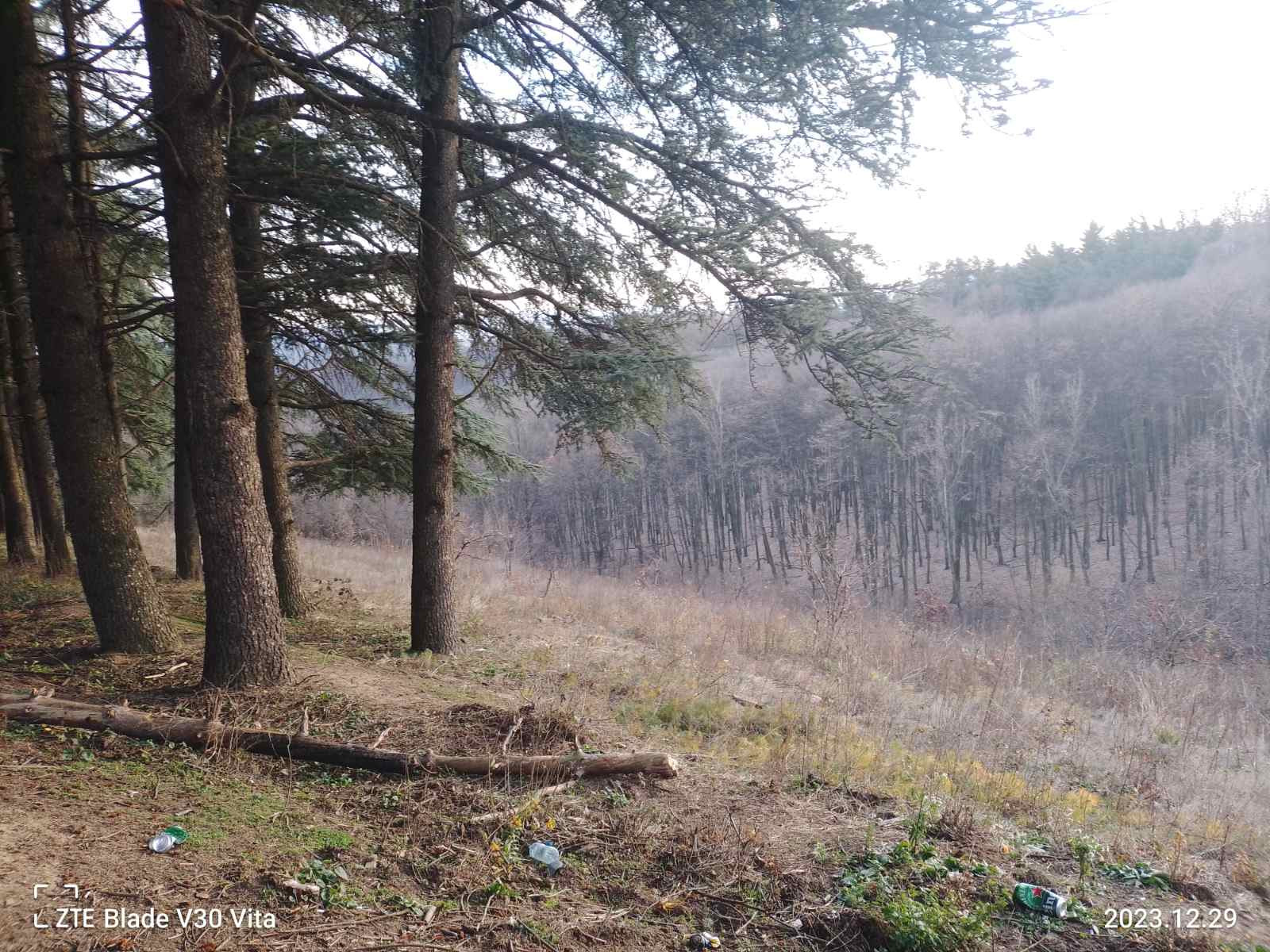 Stepin Gaj Forest | Birdingplaces