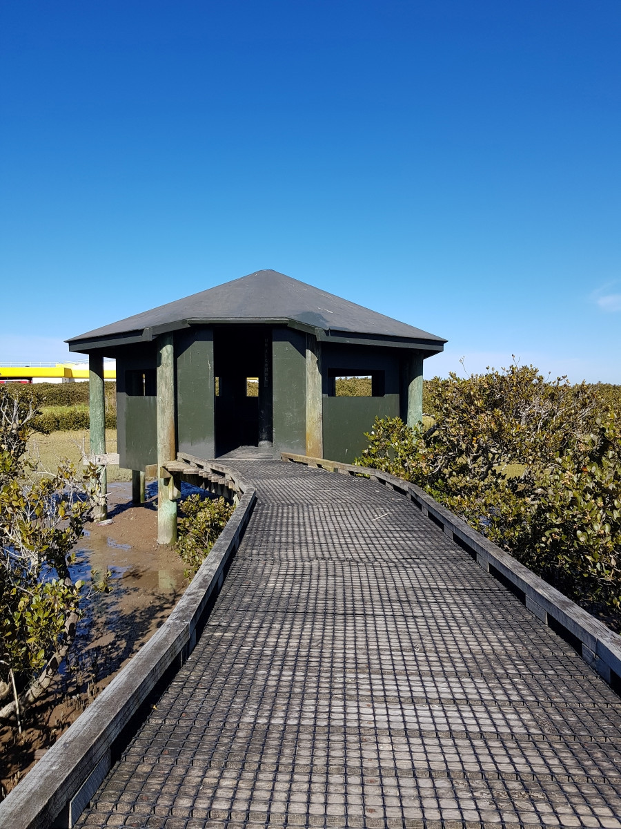Karaka Bird Hide Thames | Birdingplaces