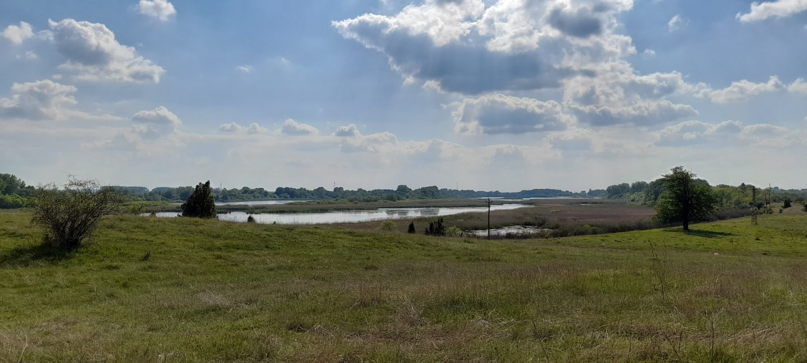 Labudovo Okno Nature Reserve – Dubovački Rit | Birdingplaces