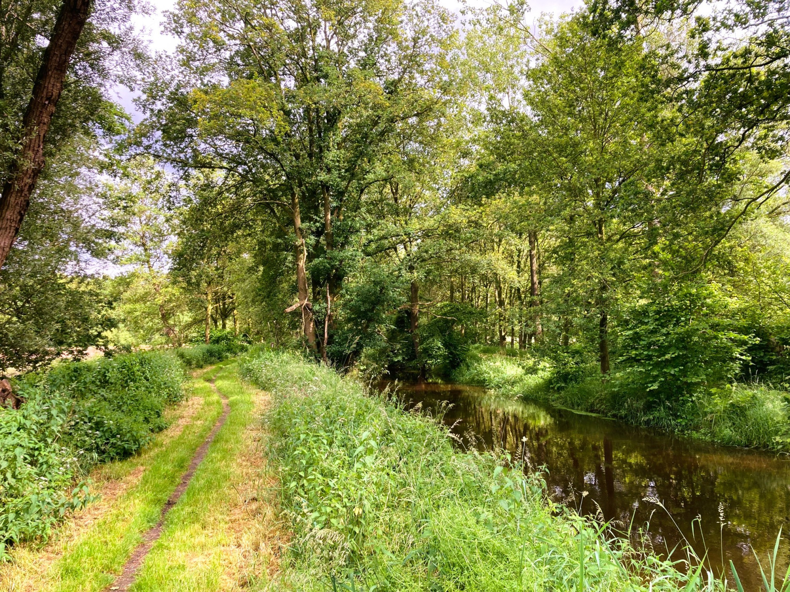 De Goort | Birdingplaces