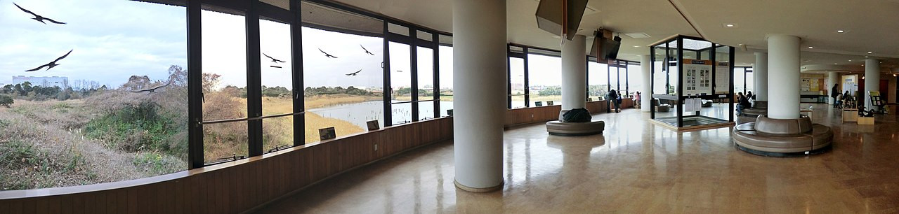 Tokyo Port Wild Bird Park | Birdingplaces