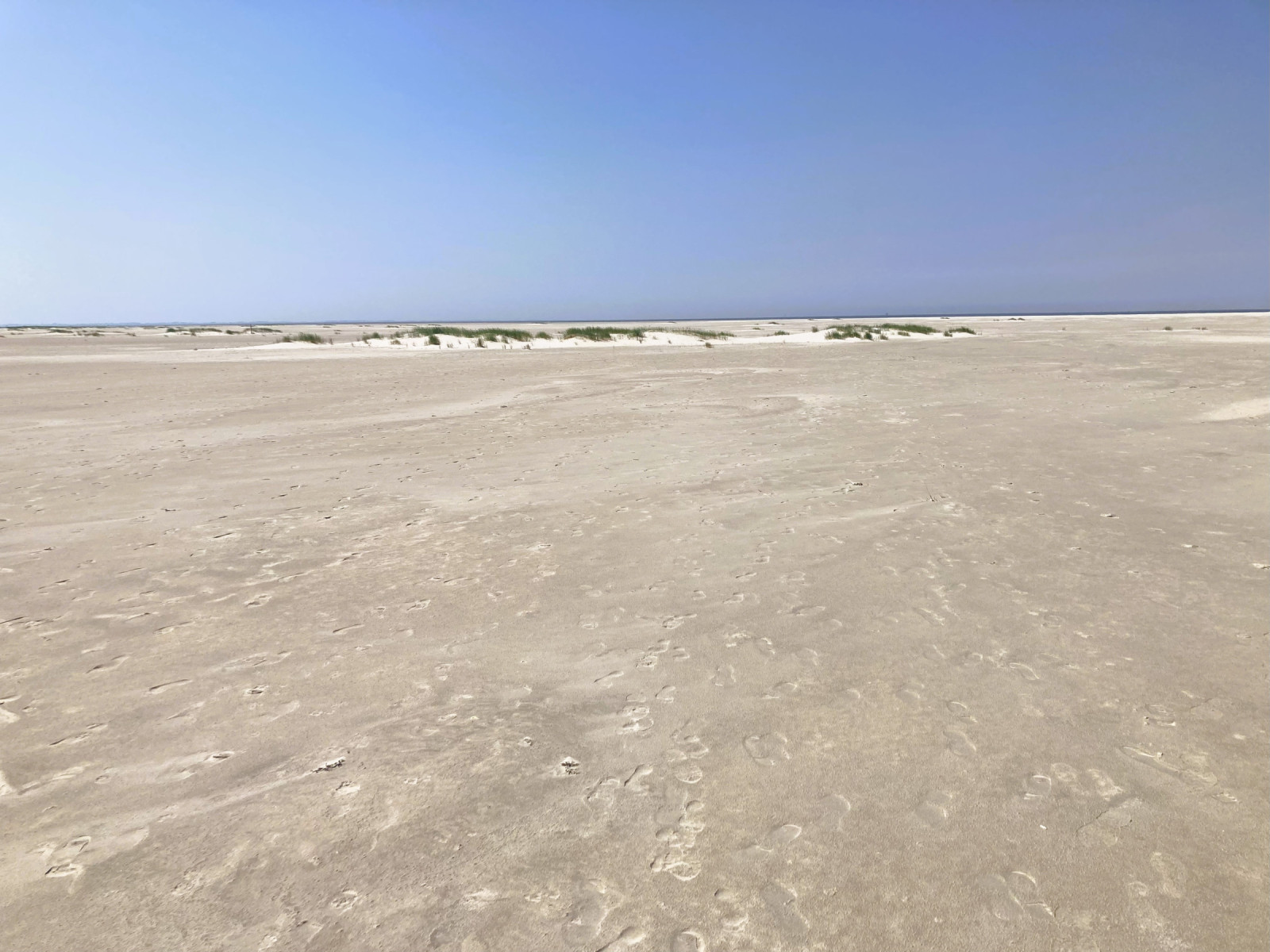 Westerstrand | Birdingplaces