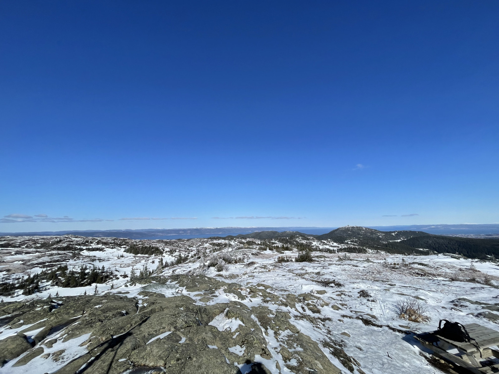 Bymarka Naturreservat | Birdingplaces