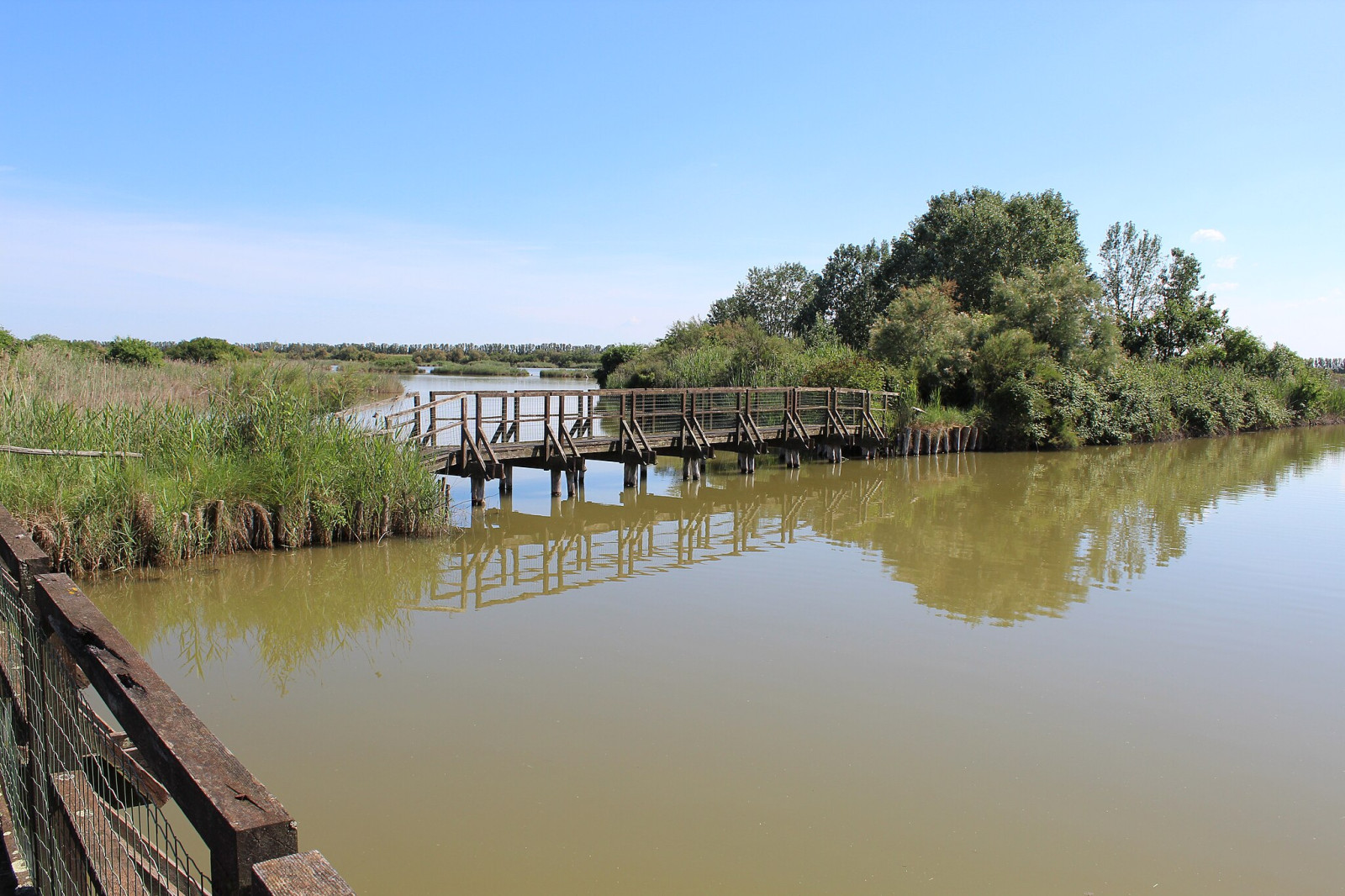 Oasi di Cannaviè Porticino | Birdingplaces