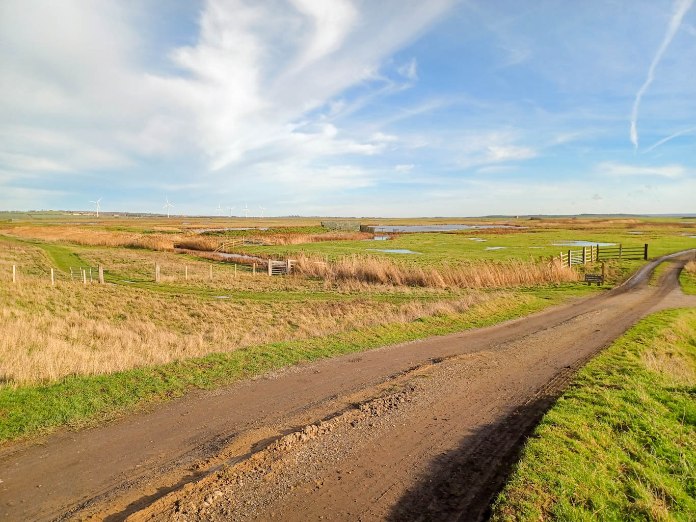 Elmley National Nature Reserve | Birdingplaces