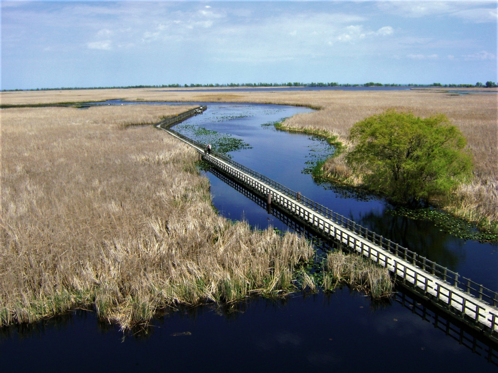 Point Pelee | Birdingplaces